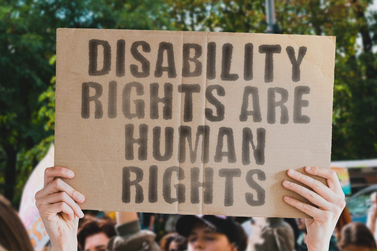 Access to Justice for Persons with Disabilities: The Role of the Social ...